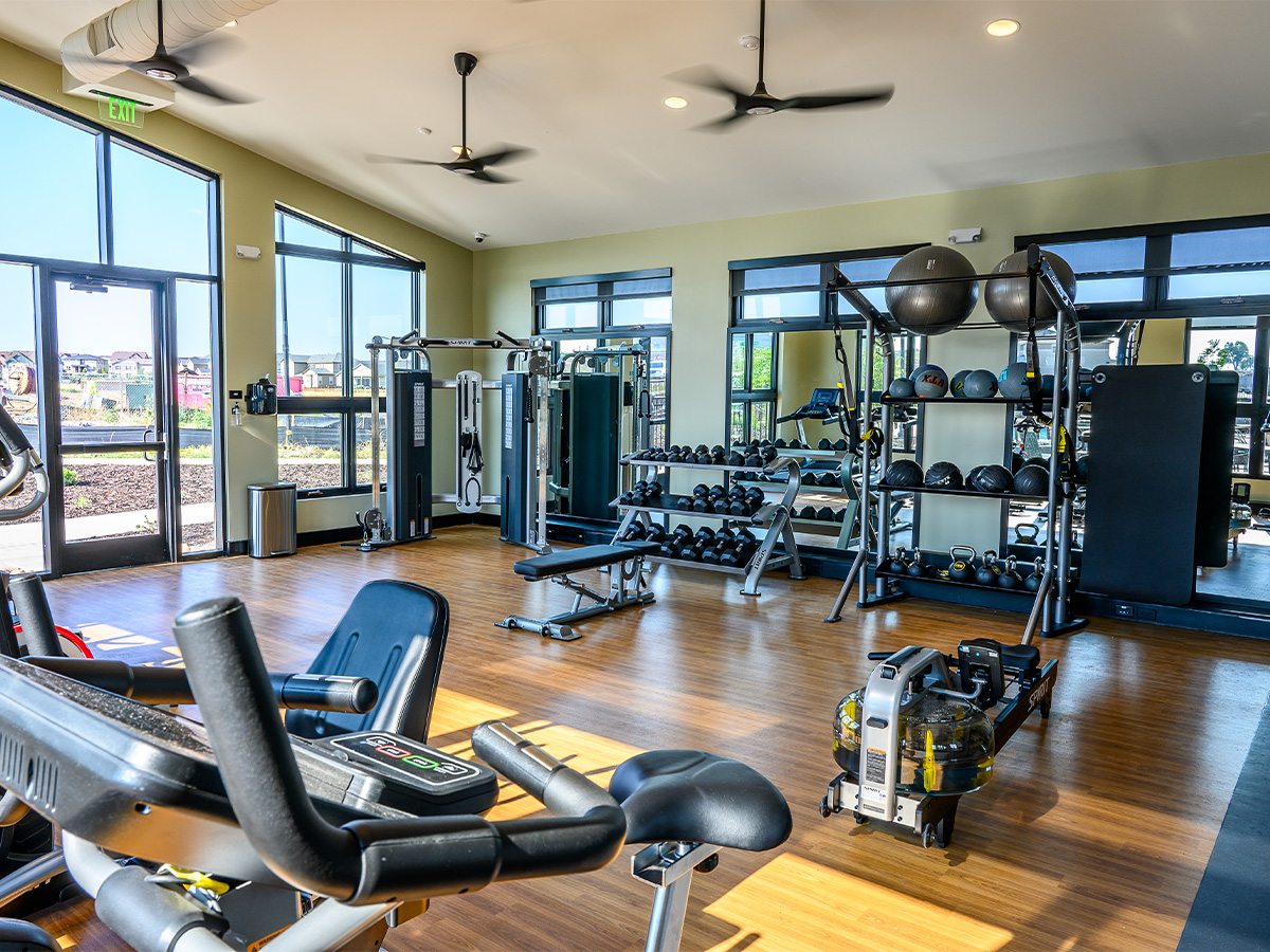 Colliers Hill News and Events